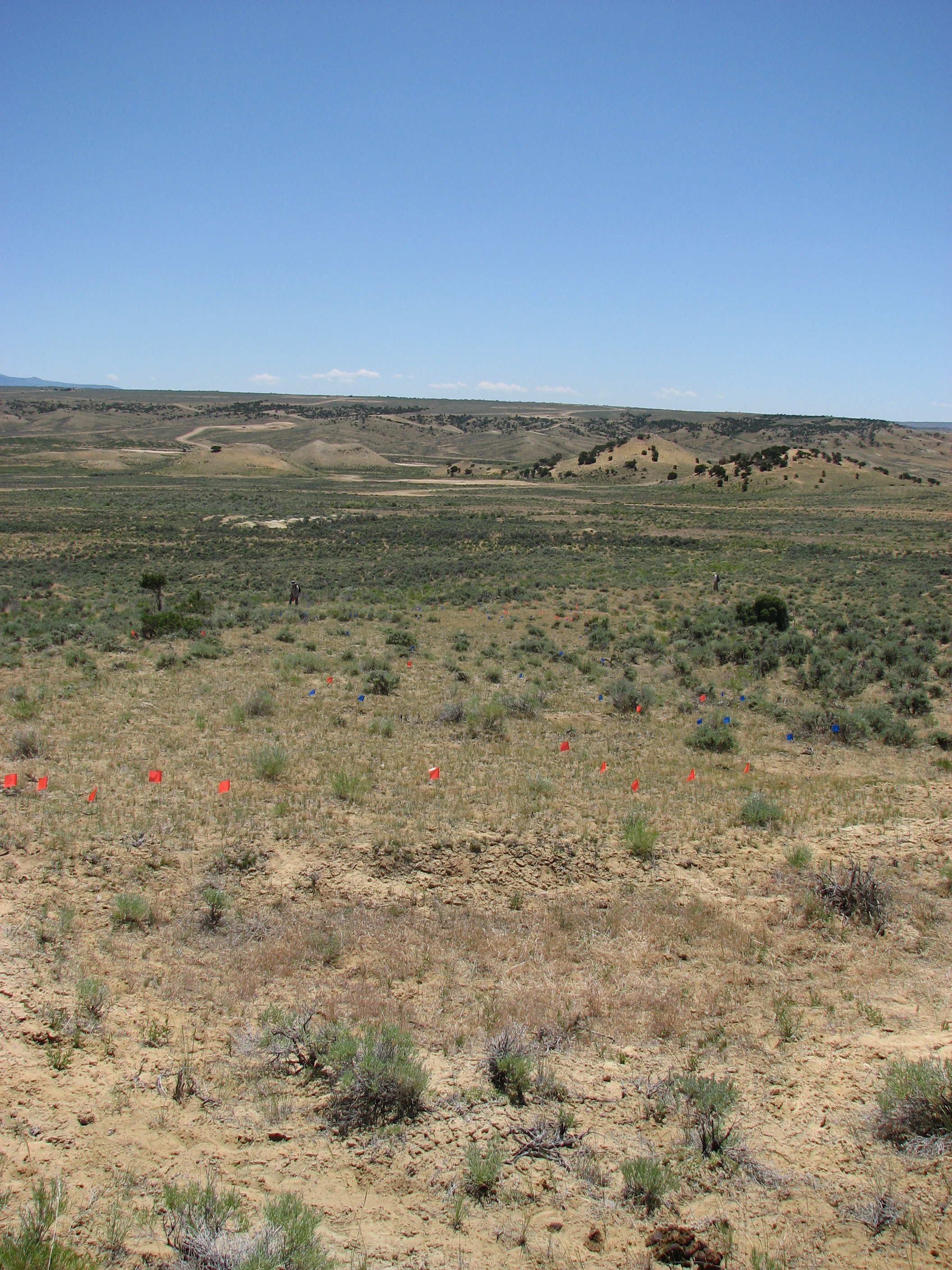 WY Field Guide