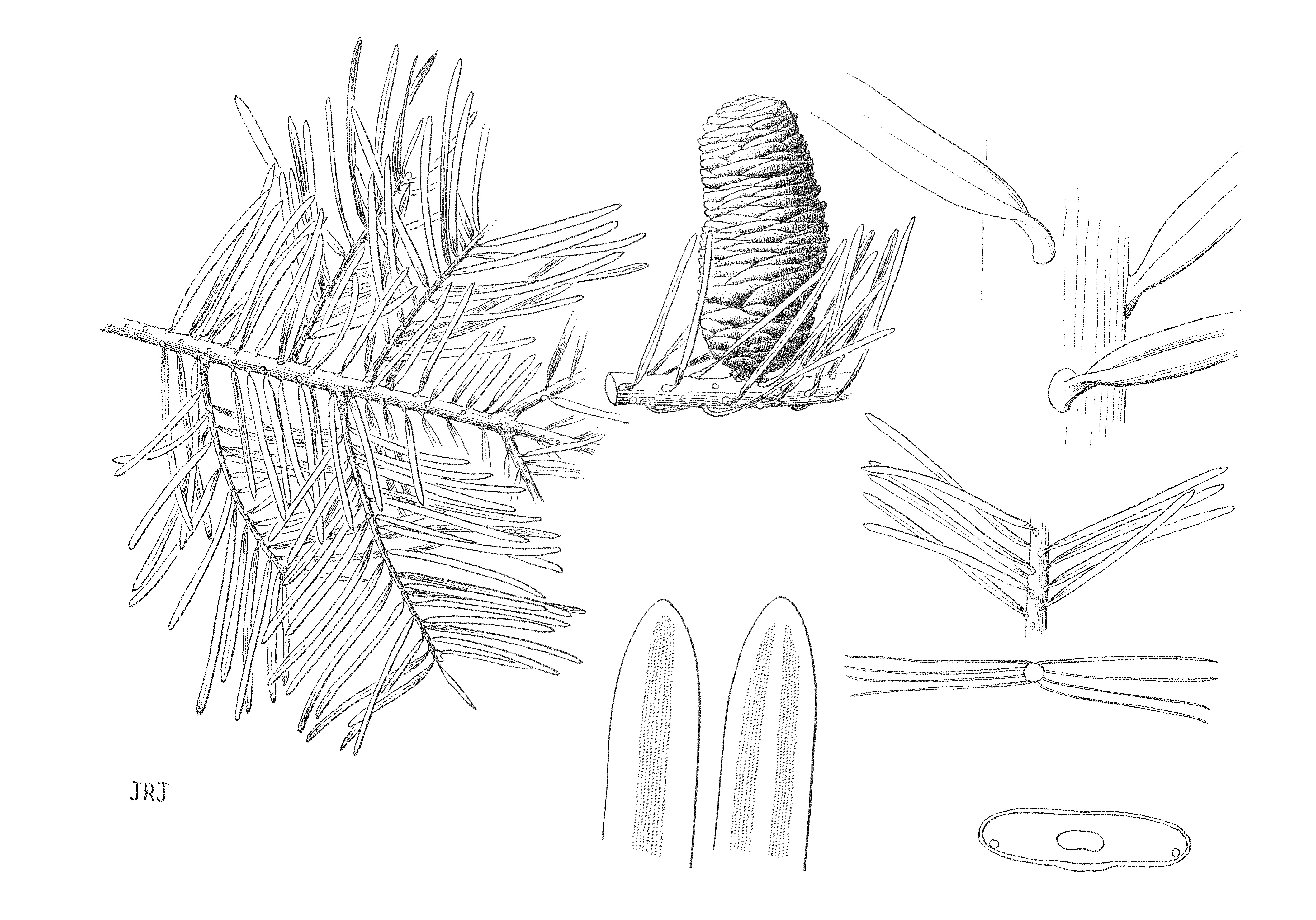 WY Field Guide